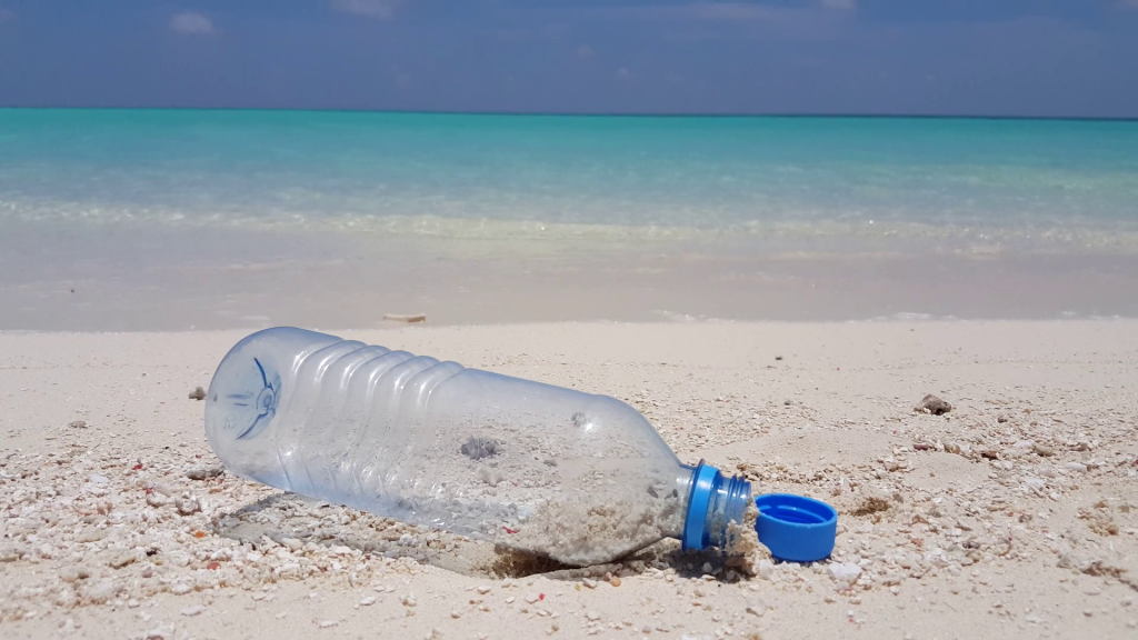 6 Ways to Be an Environmental Hero at the Beach – Accountable